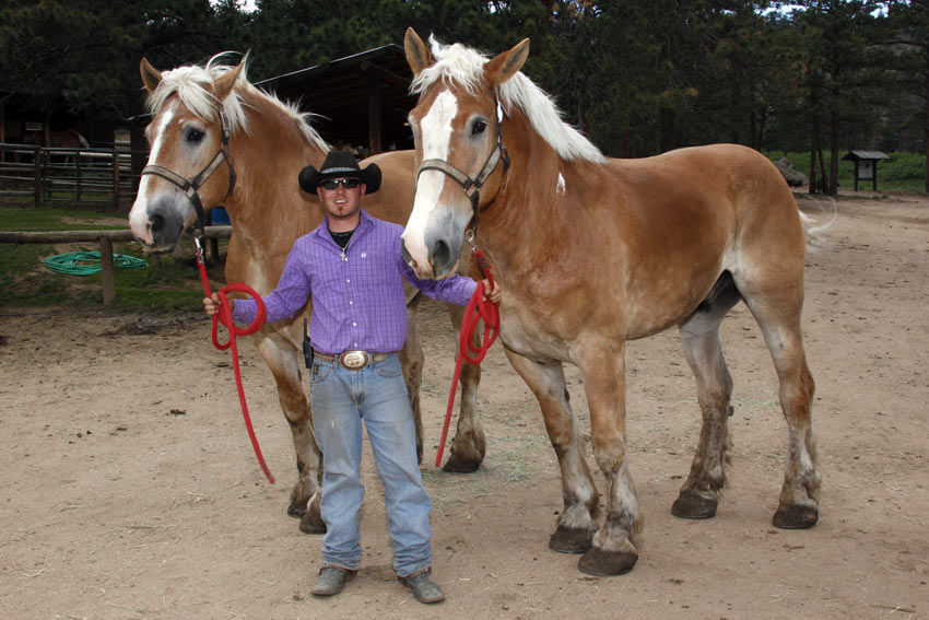 Employment at Jackson Stables